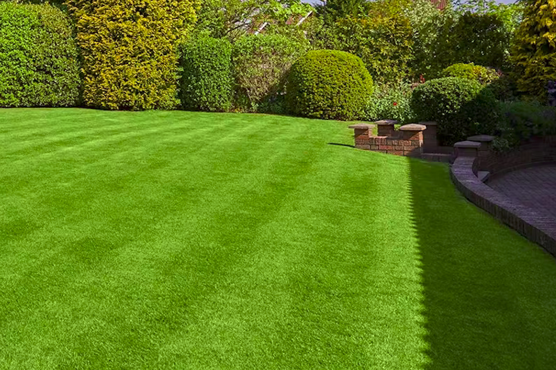 AM Lawn & Tree Service